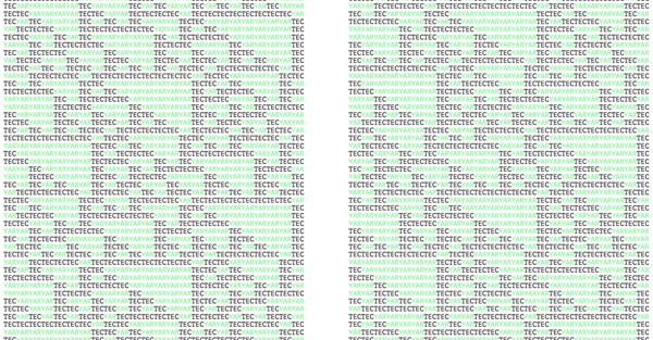 Emic Automata & Thematic Automata (maetl)